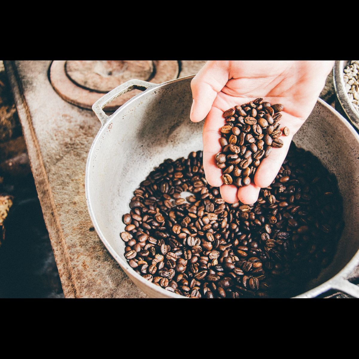 A Guide to Choose Your Next Coffee Bean