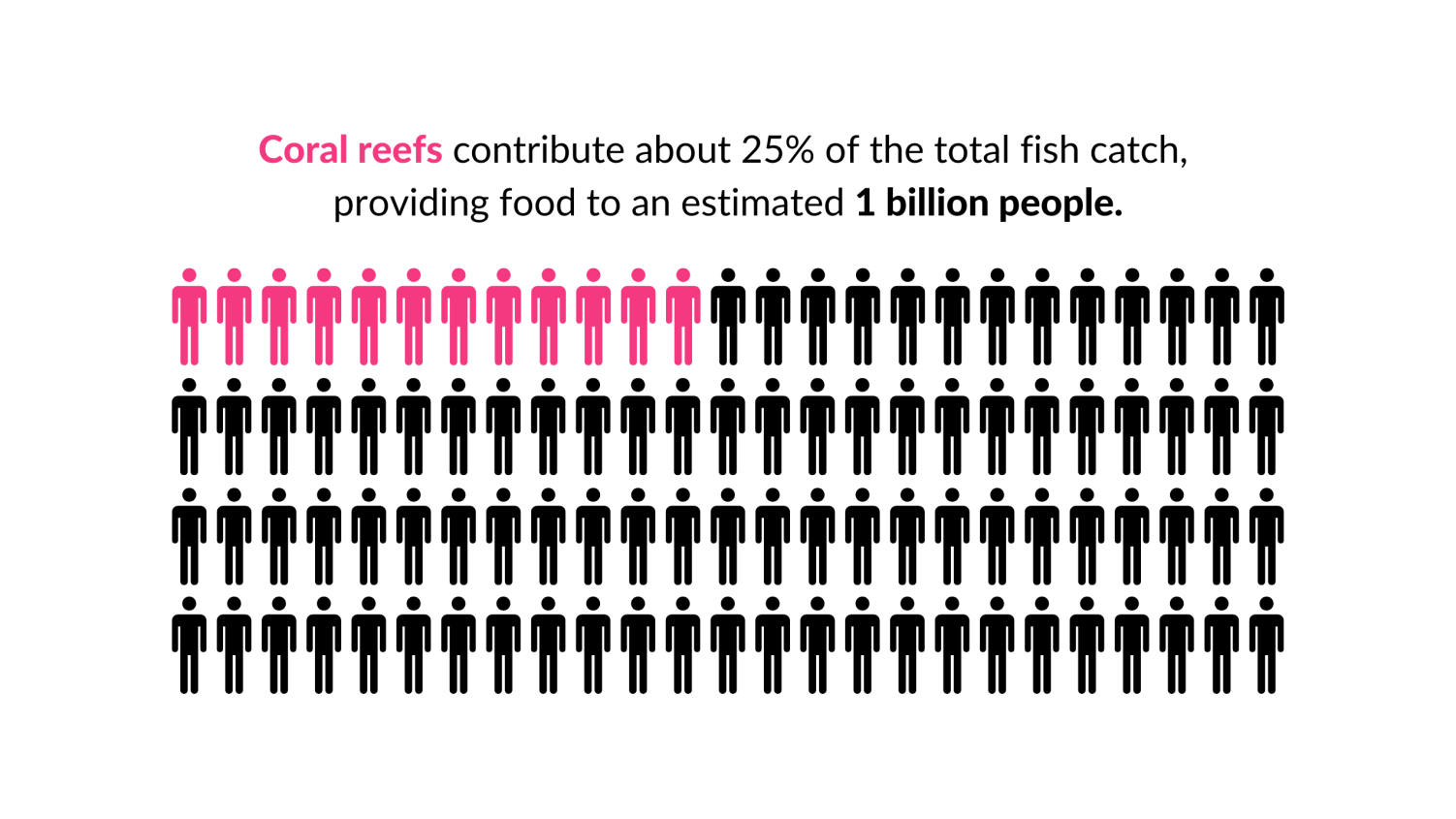 Coral Reef