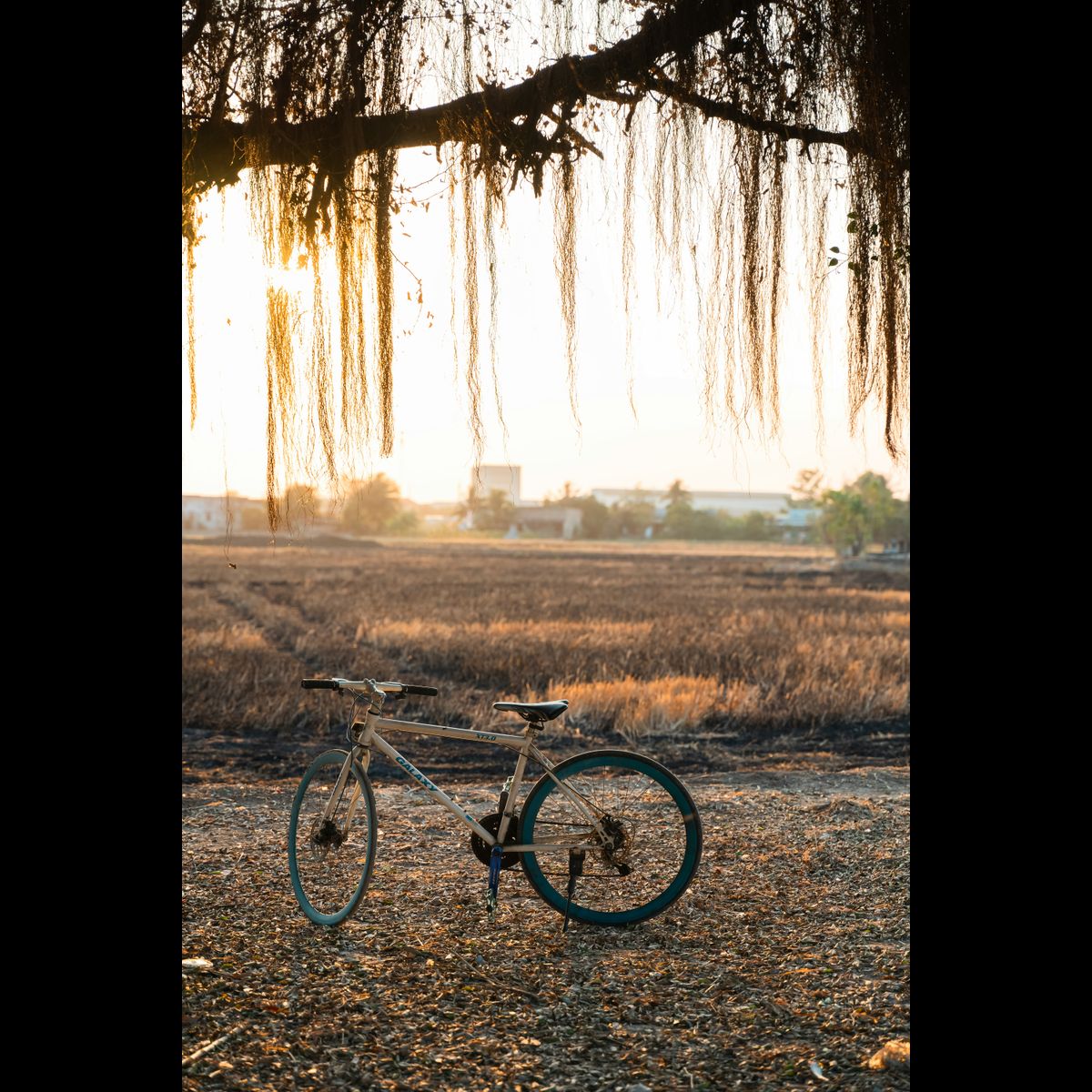 Move more, feel better